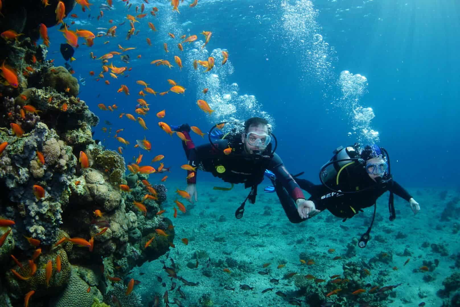 קורס צלילה באילת - מבחר קורסי צלילה באילת של PADI