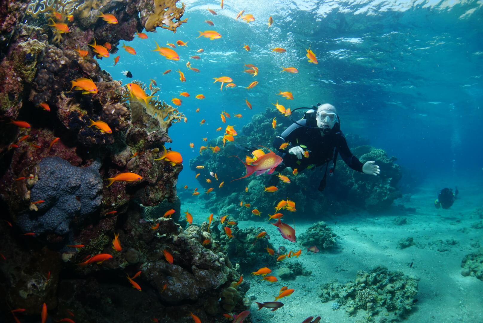 קורס צלילה באילת - מבחר קורסי צלילה באילת של PADI